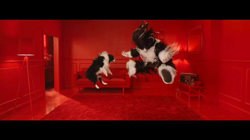 Schmackos - The Duet | LBBOnline