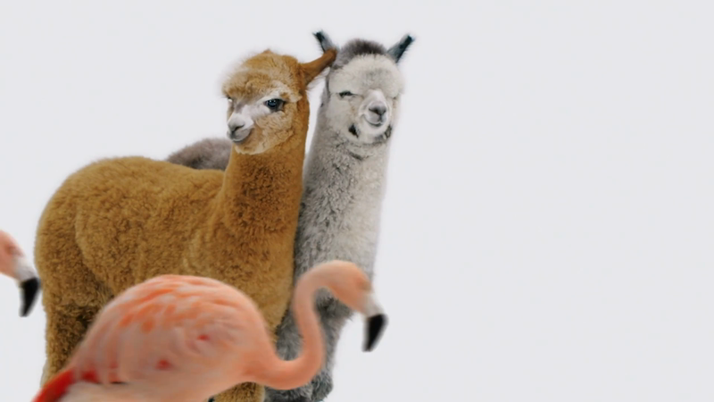 Telus "Together"⁣ | LBBOnline