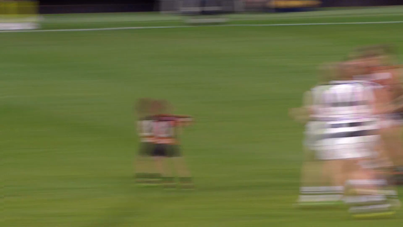 AFL Mini Legends | LBBOnline