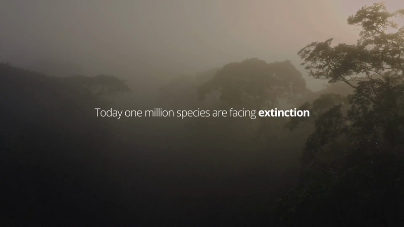 Extinction Days | LBBOnline