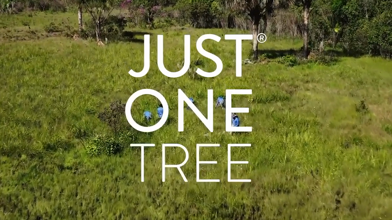 Just One Tree Day Campaign | LBBOnline