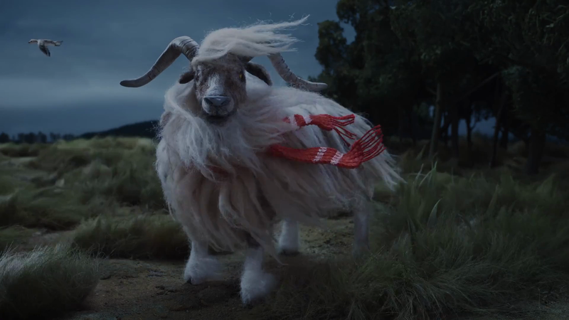 Better Network - Northcliffe | LBBOnline