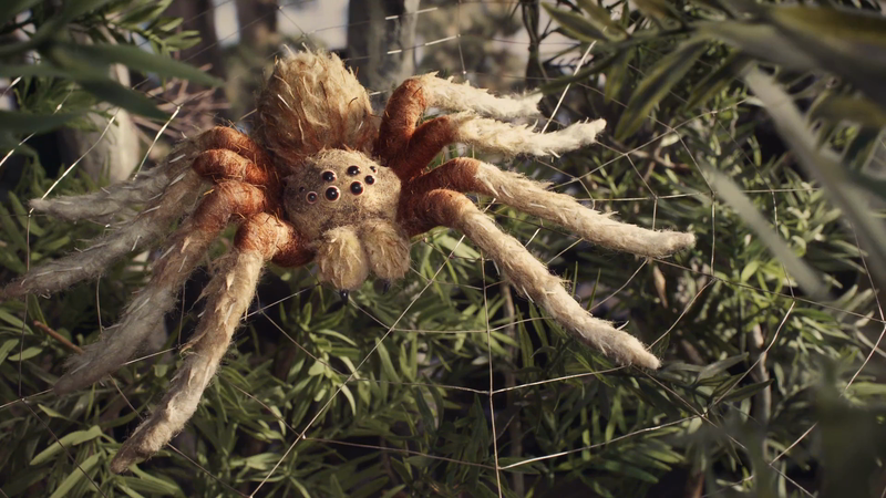 Better Network - Maningrida | LBBOnline