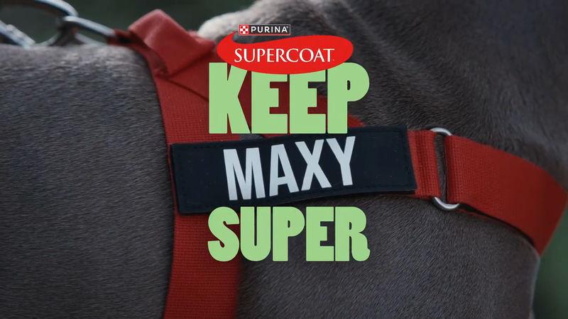 Keep Them Super - Maxy | LBBOnline